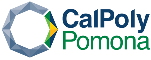 Impact-Driven Mentoring Program | Mentor Collective